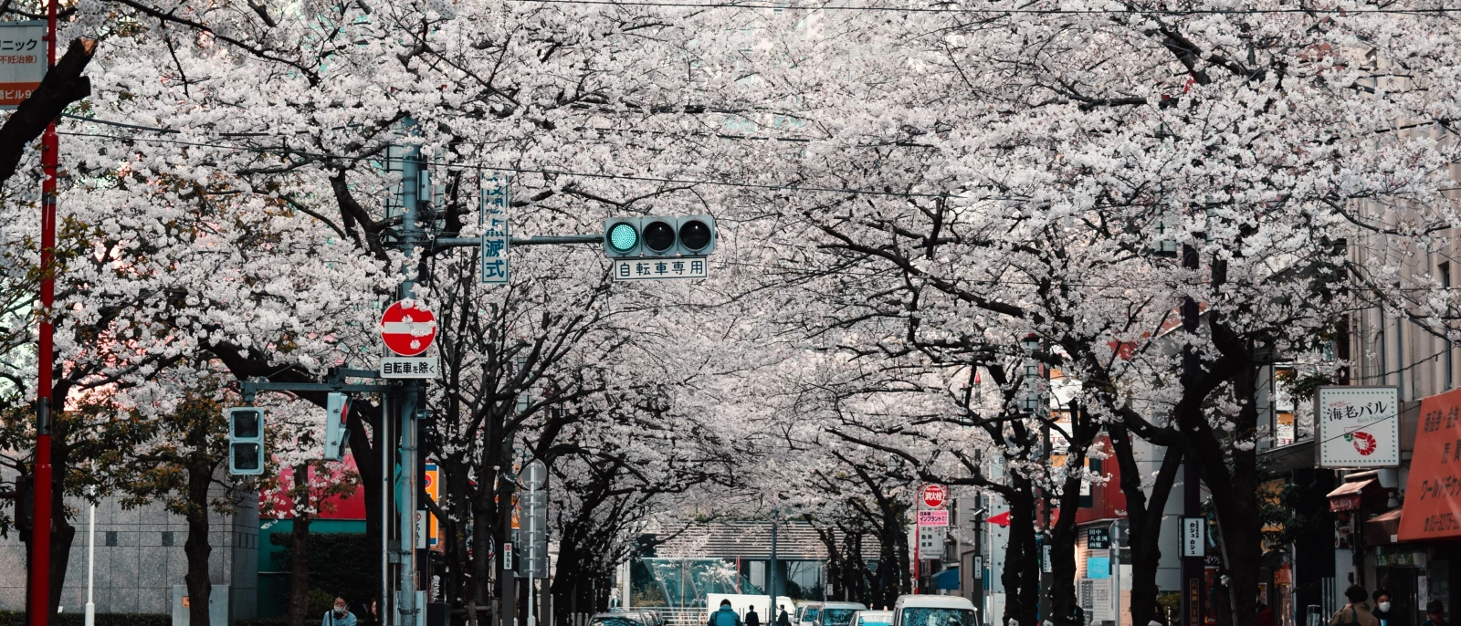Cheap flights from Paris to Tokyo